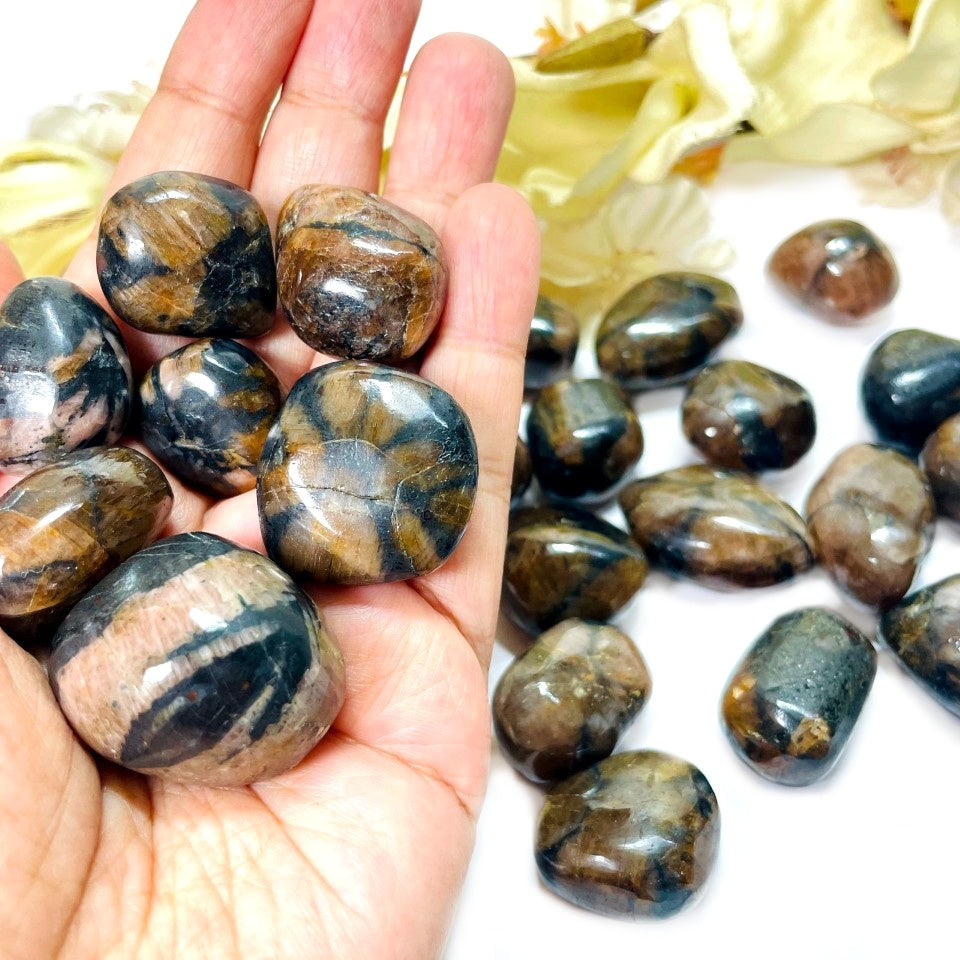 Buy Chiastolite/Andalusite Tumbles for Stability | Talk to Crystals