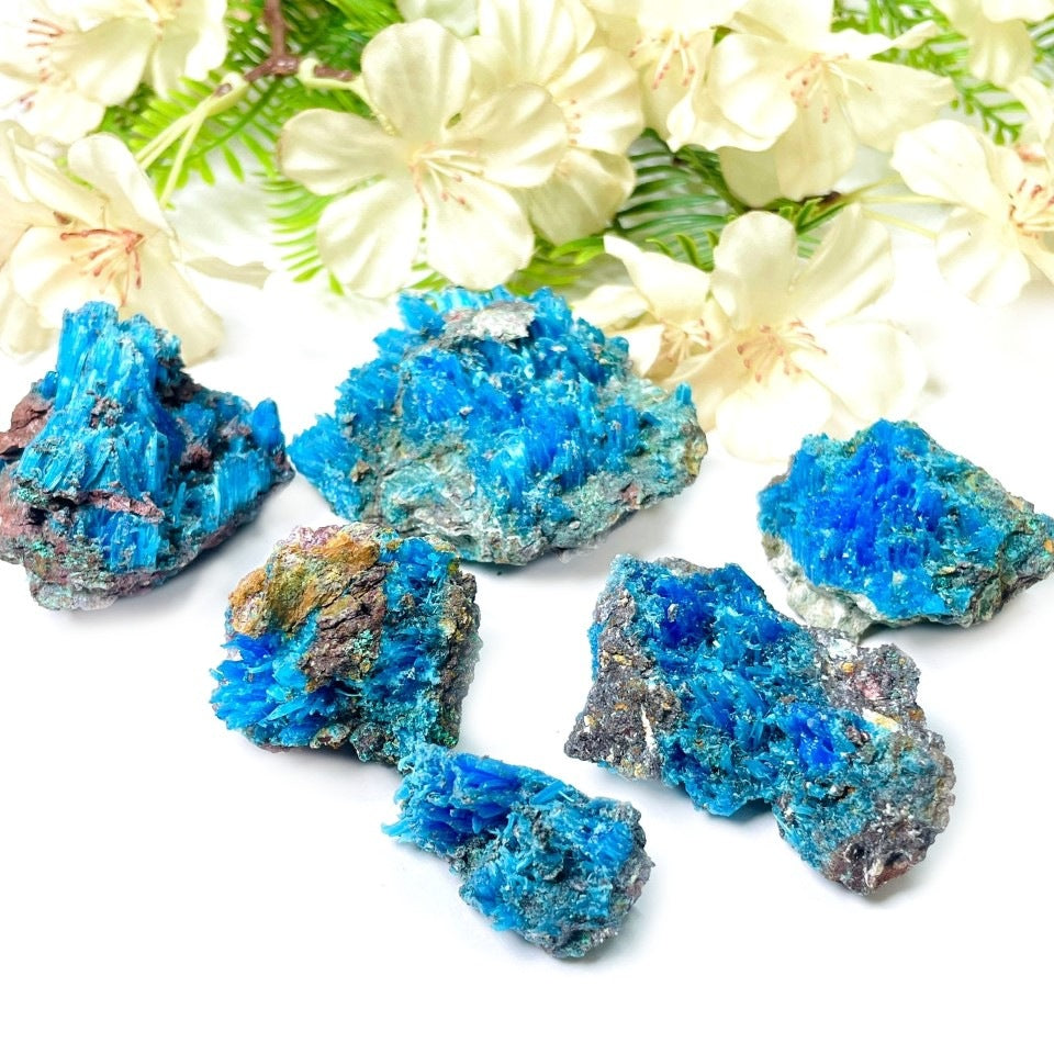 Buy RARE Chalcanthite mineral specimen online at Talk to Crystals