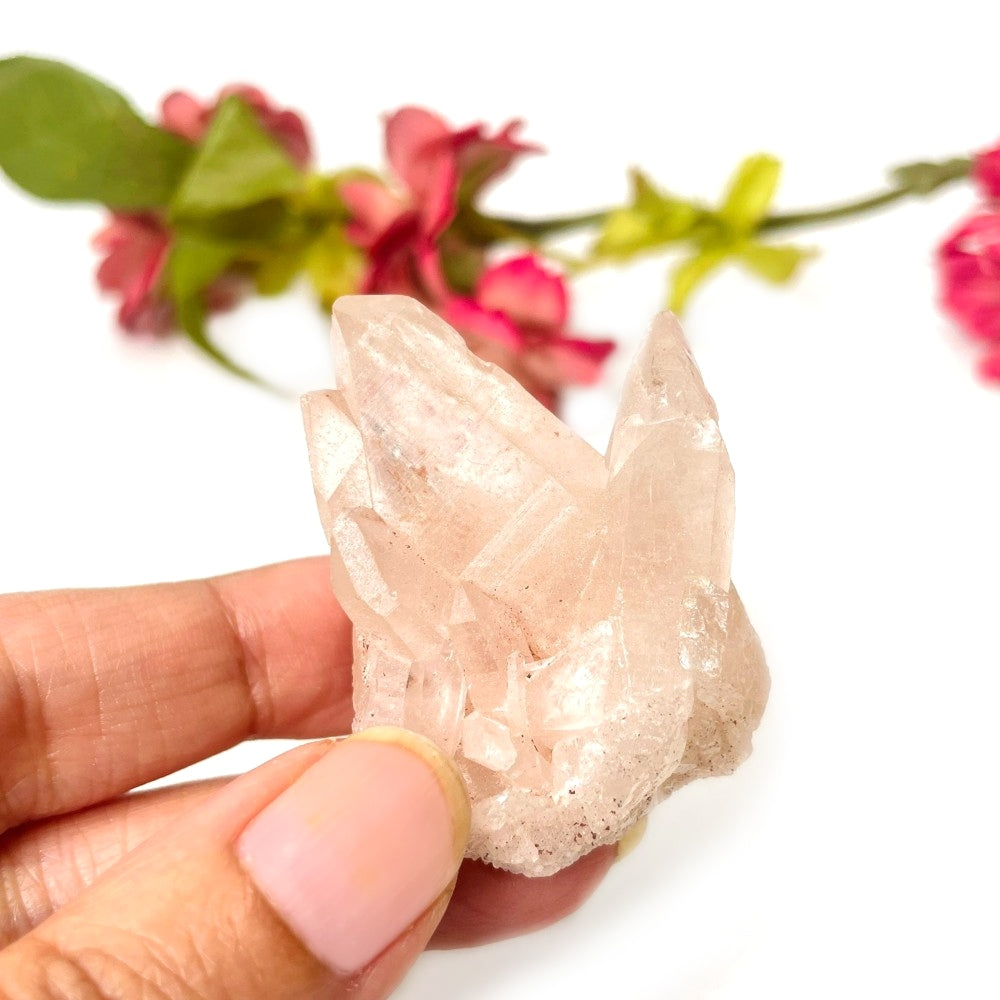 Nirvana Quartz Cluster | Bliss & Spiritual Growth | Talk to Crystals