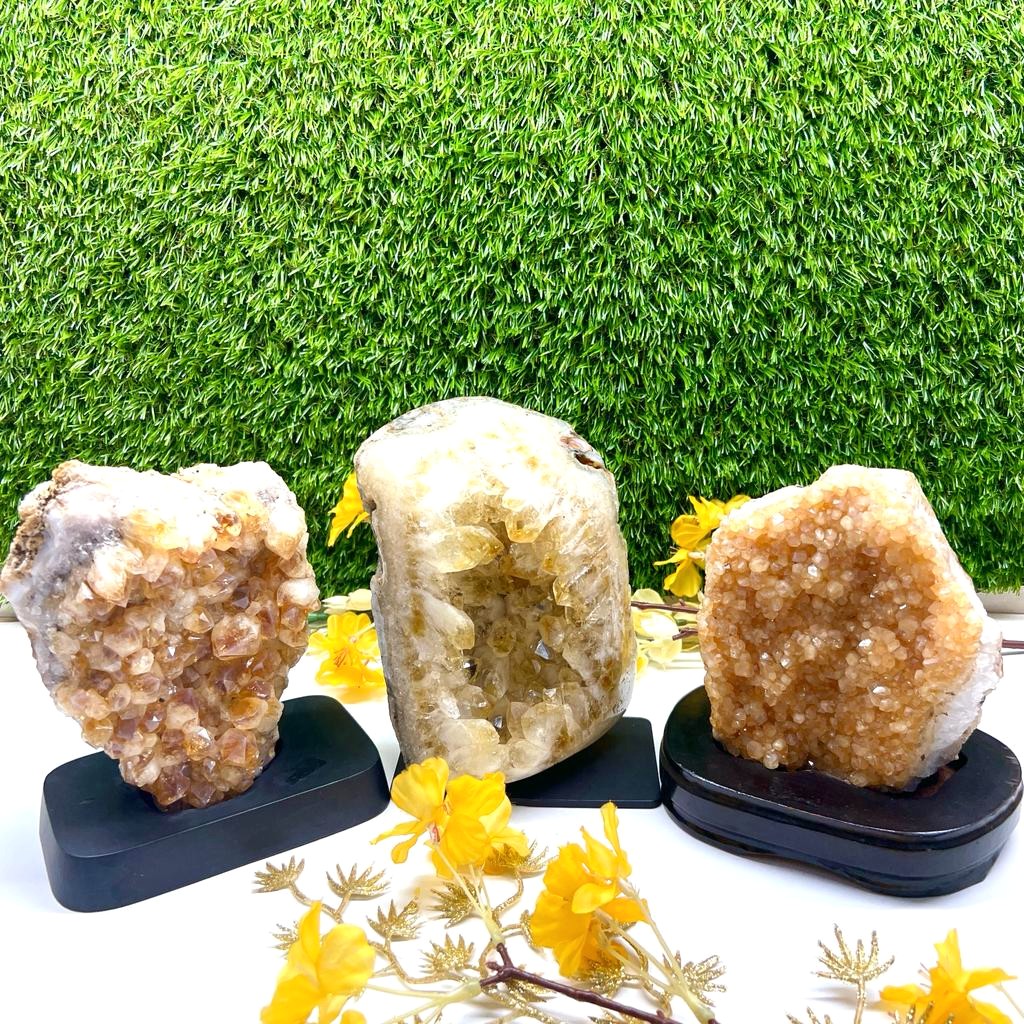 Buy Citrine Clusters on stands for Career and Business online