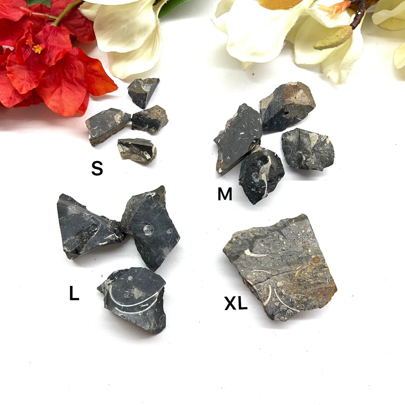 Colus Crystal Rough (Transformation) Buy crystals online in India