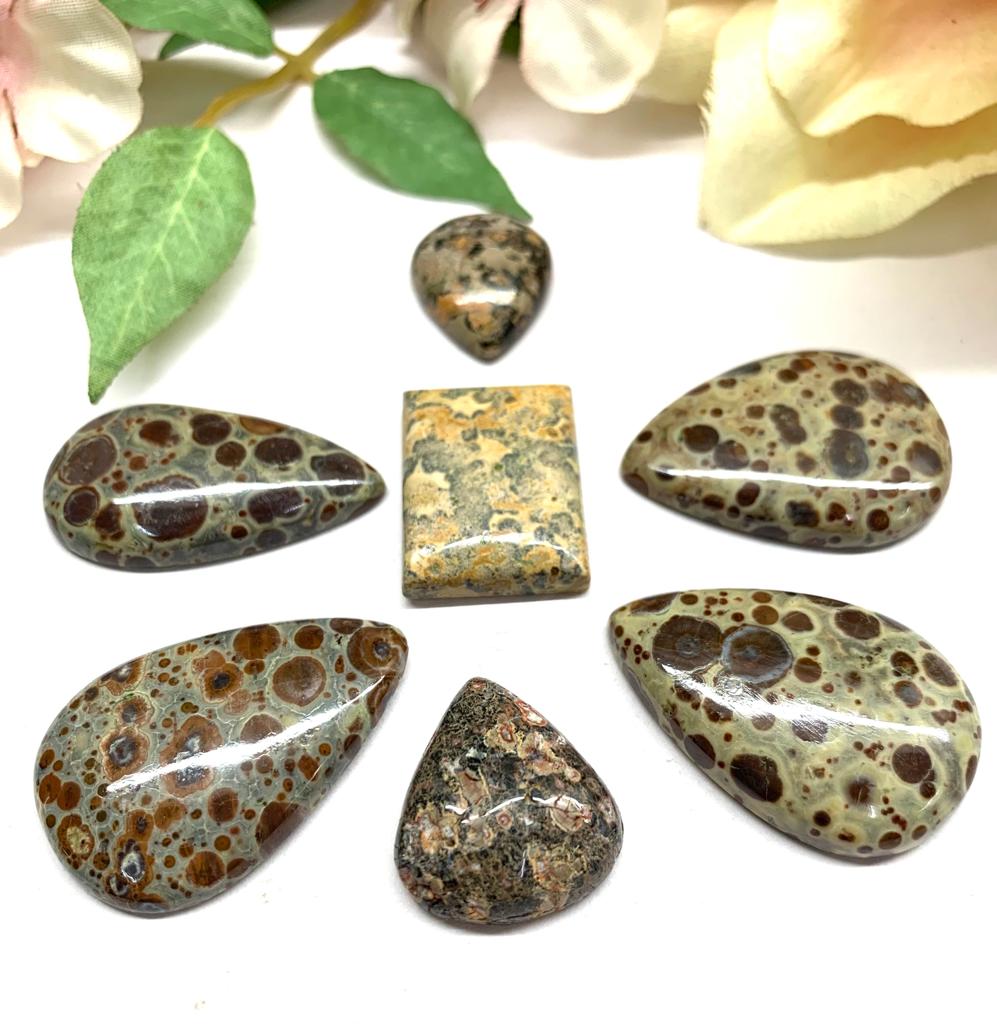 Orbicular Jasper Cabochons for Patience Online at Talk to Crystals