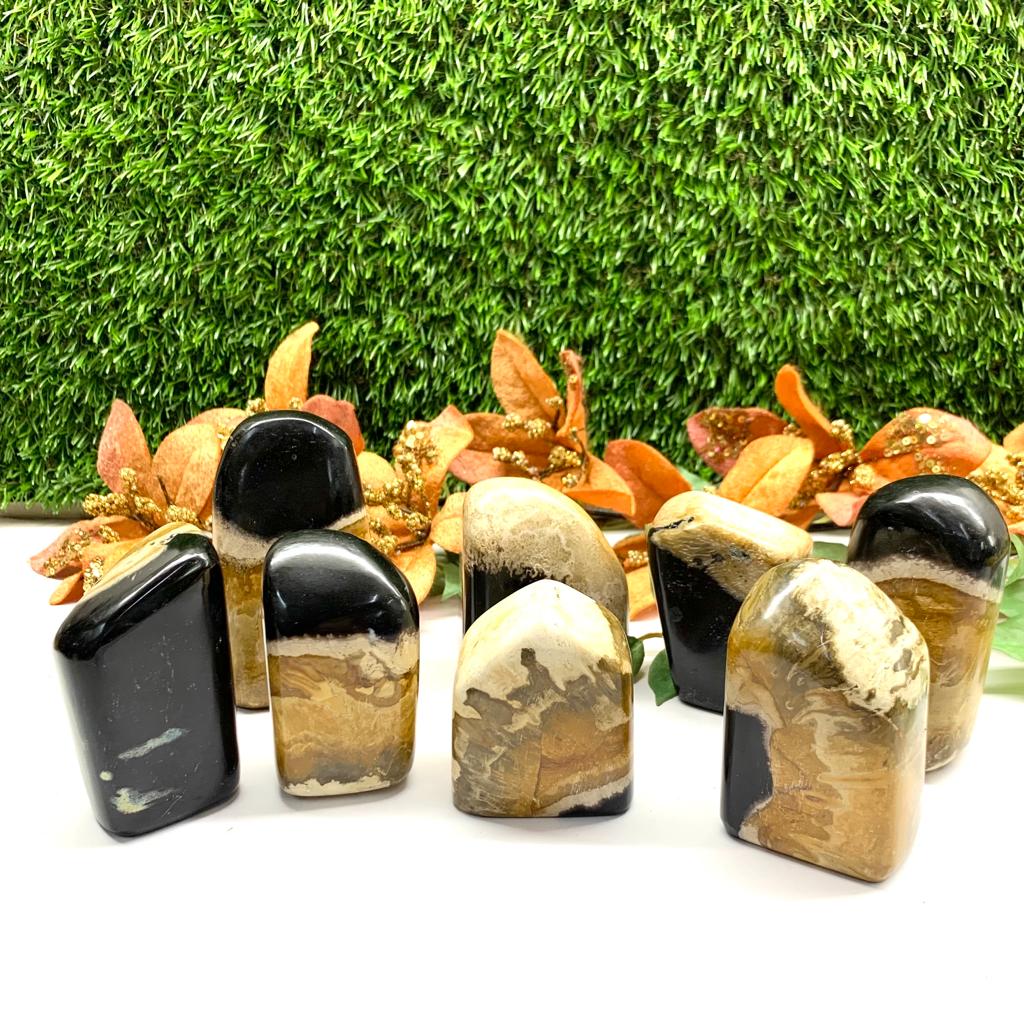 Petrified Palm Root Free Form for Emotional Balance at Talk to Crystals