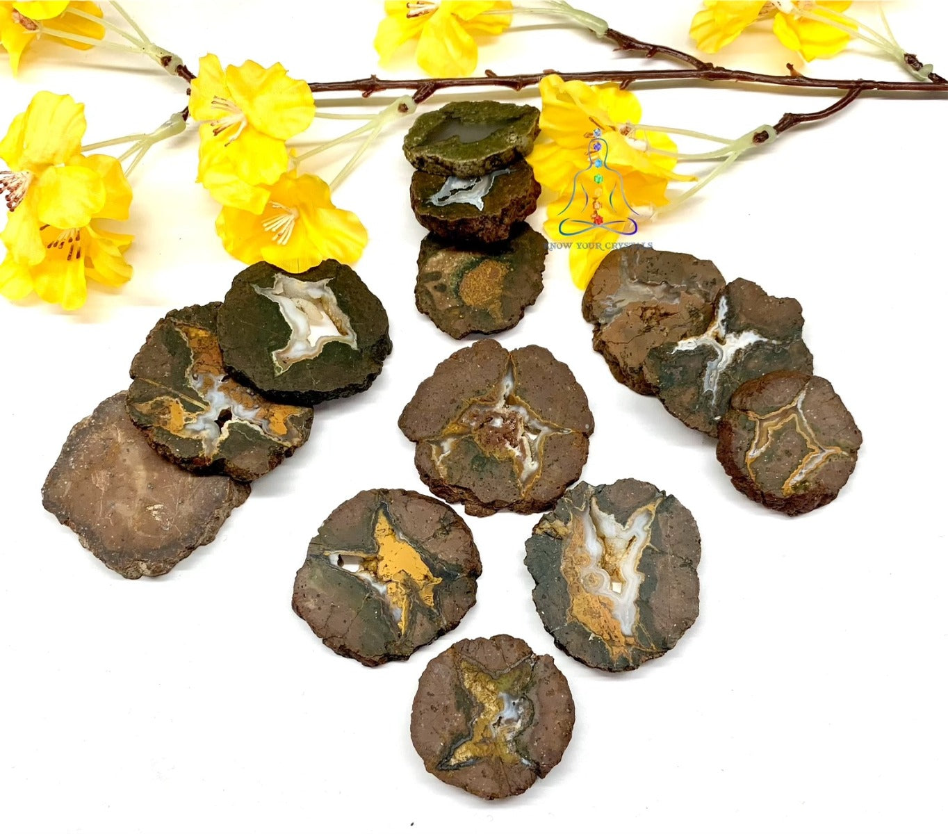 Buy rare Priday Ranch Agate Slices | Talk to Crystals